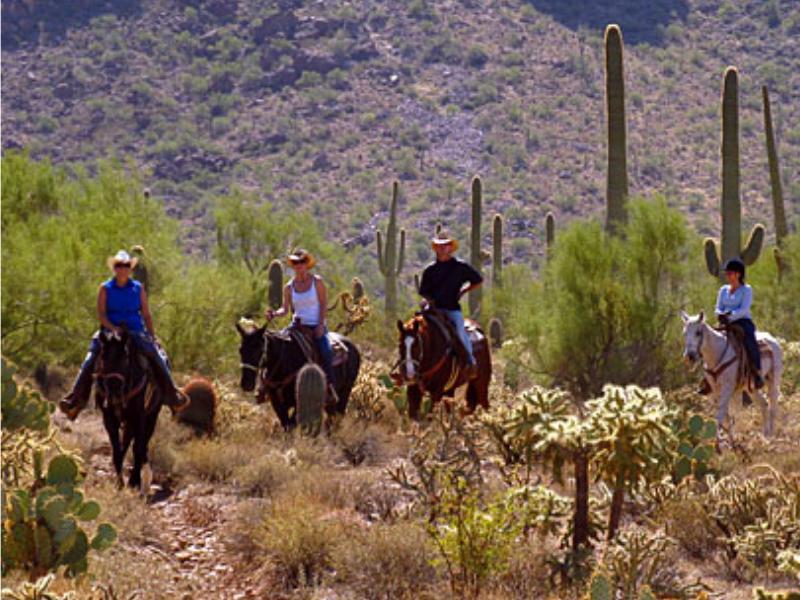 Arizona Guest Ranches | Guest Ranches of North America