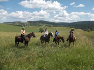 Dude & Guest Ranch Vacations ~ a curated list