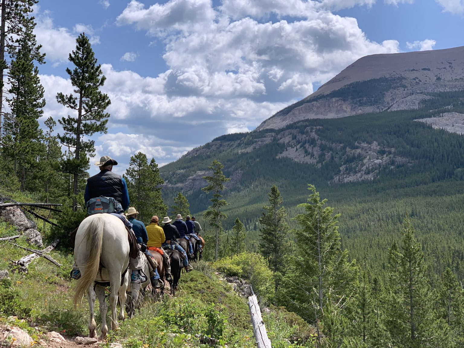 Dude & Guest Ranch Vacations ~ a curated list