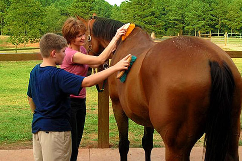 Georgia Dude & Guest Ranches ~ a curated list