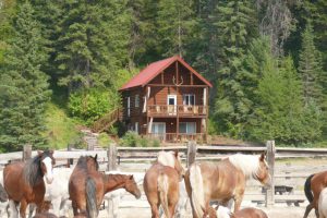 Dude & Guest Ranch Vacations ~ a curated list