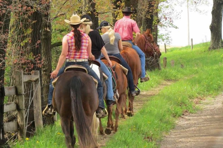 KD Guest Ranch ~ an overview | GuestRanches.com