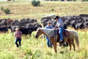 Dude & Guest Ranch Vacations ~ GuestRanches.com